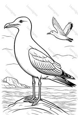 Seagulls | Coloring Pages | Learnigma