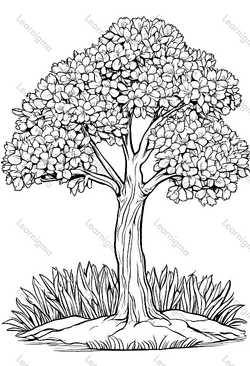 Hawthorn Tree | Coloring Pages | Learnigma
